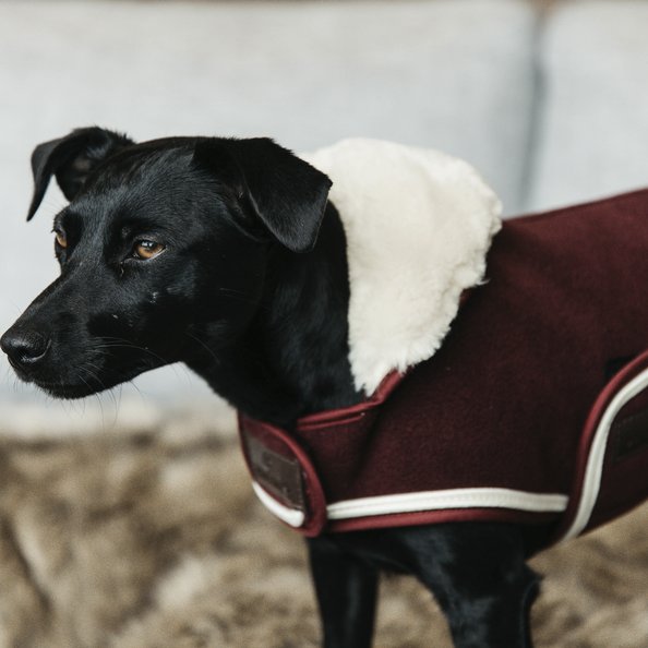 Kentucky Dog Coat Heavy Fleece - Høymyr Stall og Hesteutstyr