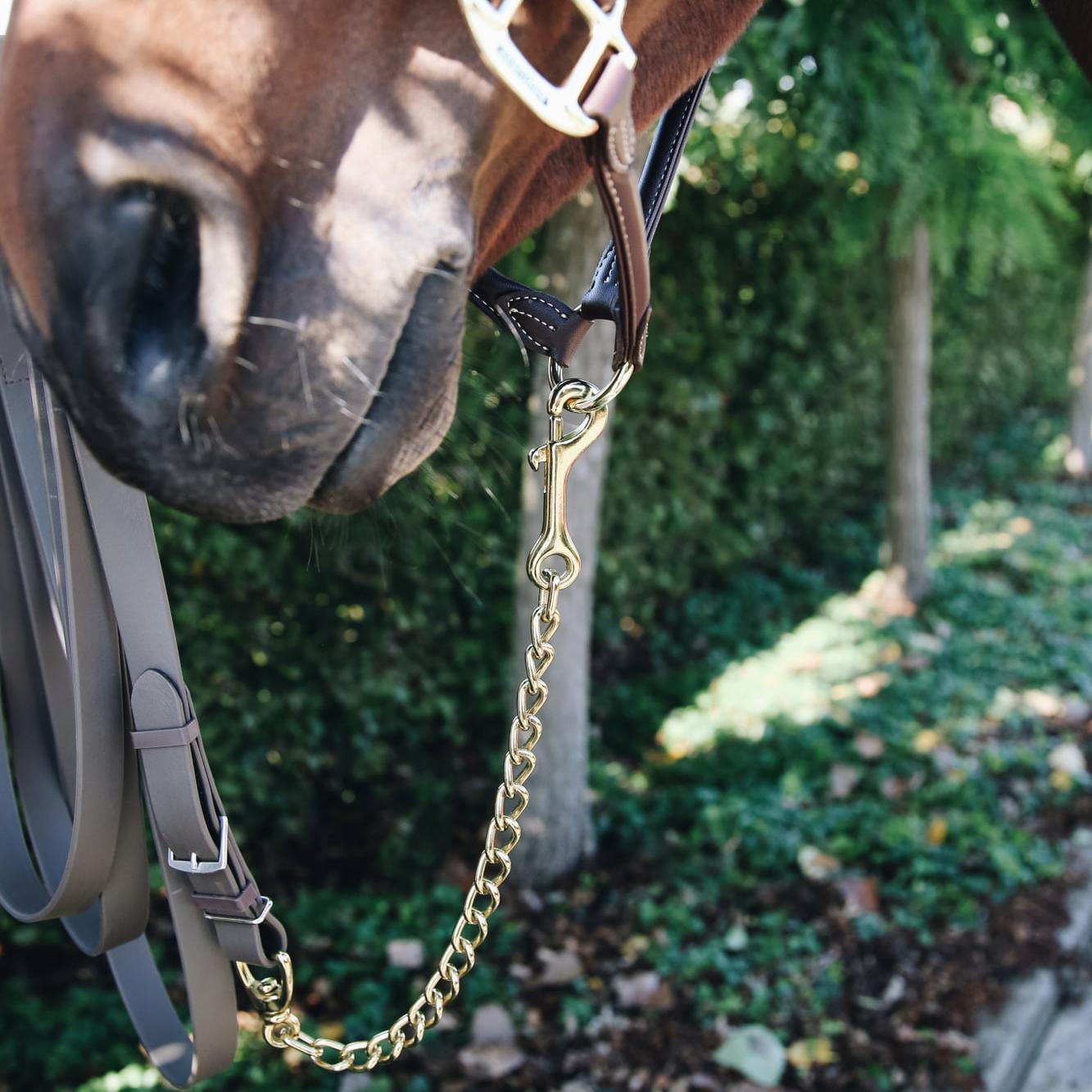 Kentucky hingste kjetting (Kentucky Stallion Chain) - Høymyr Stall og ...